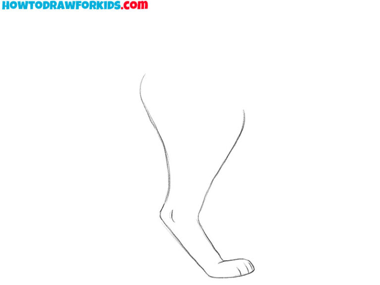 How to Draw a Cat Leg - Easy Drawing Tutorial For Kids