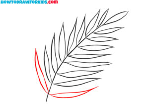 How to Draw a Fern - Easy Drawing Tutorial For Kids