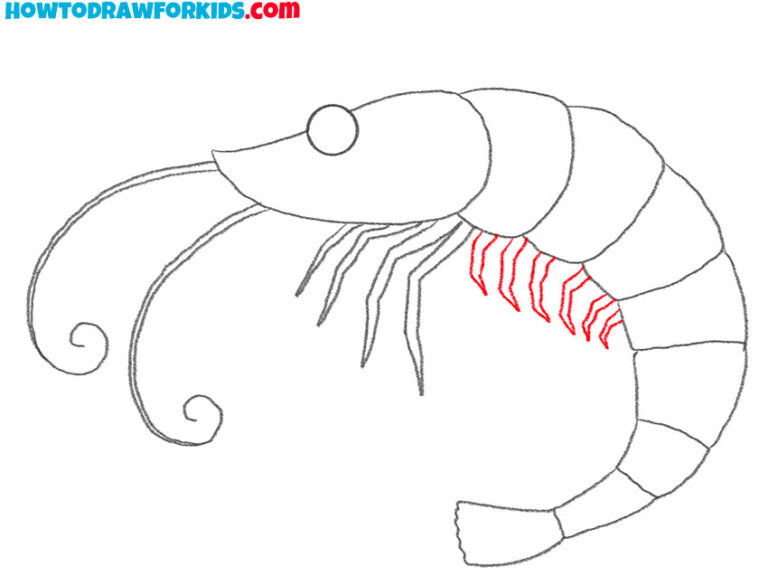 How to Draw a Shrimp - Easy Drawing Tutorial For Kids