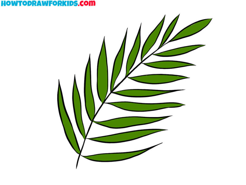 How to Draw a Fern - Easy Drawing Tutorial For Kids
