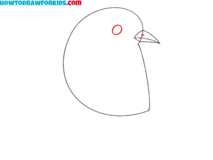 How to Draw a Bluebird - Easy Drawing Tutorial For Kids