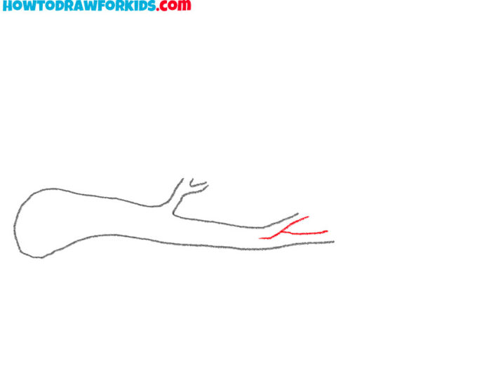 How to Draw a Tree Branch - Easy Drawing Tutorial For Kids