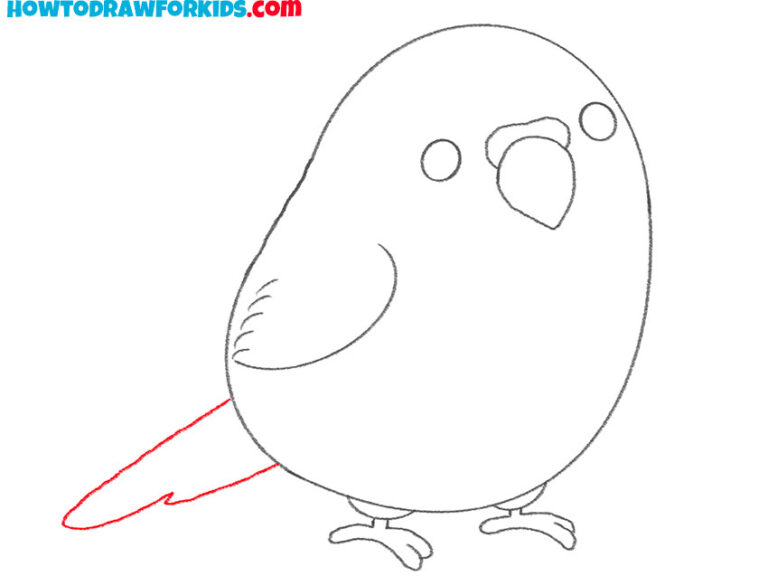 How to Draw a Parakeet - Easy Drawing Tutorial For Kids