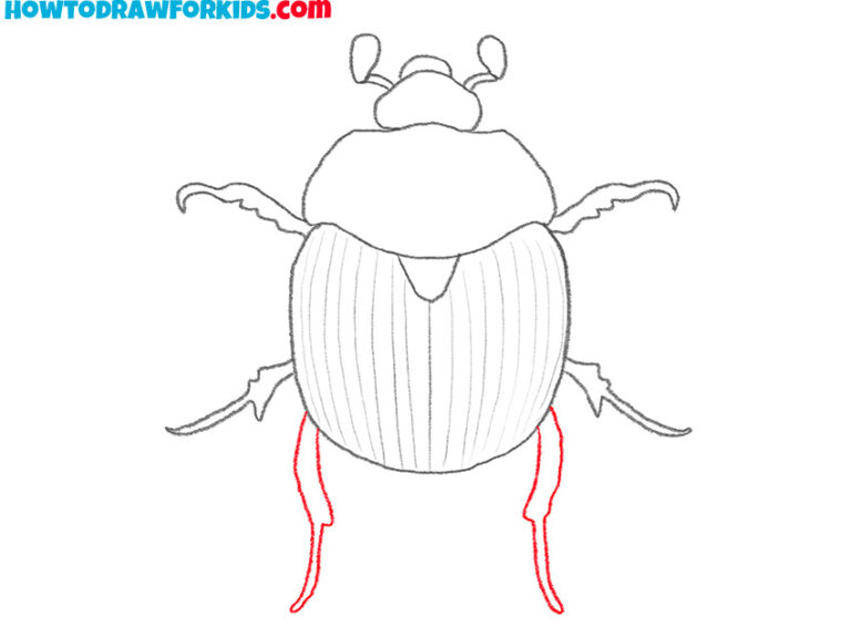 How to Draw a Beetle - Easy Drawing Tutorial For Kids