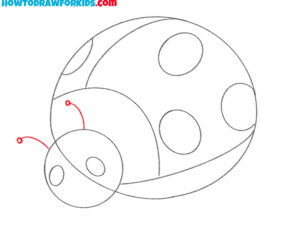 How to Draw a Bug - Easy Drawing Tutorial For Kids