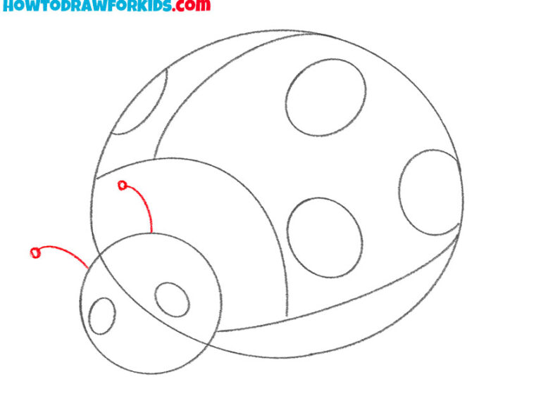 How to Draw a Bug - Easy Drawing Tutorial For Kids