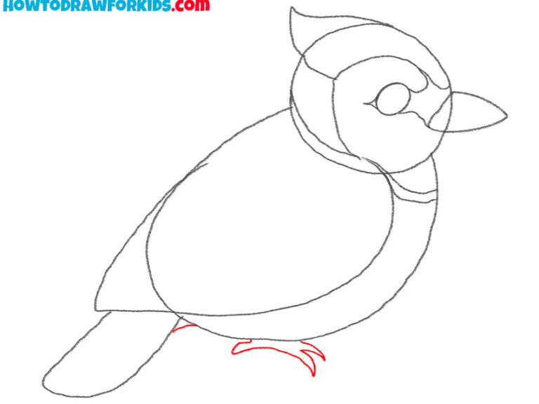How to Draw a Blue Jay - Easy Drawing Tutorial For Kids