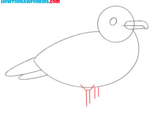 How to Draw a Seagull - Easy Drawing Tutorial For Kids