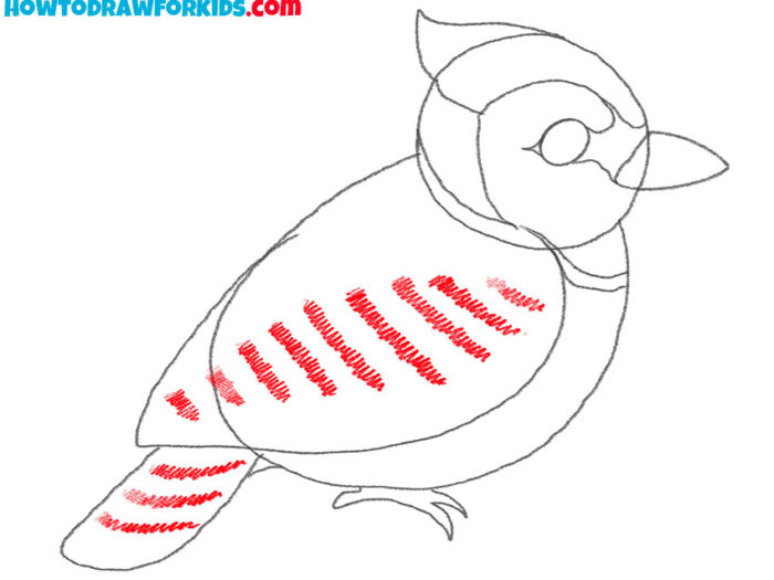 How to Draw a Blue Jay - Easy Drawing Tutorial For Kids
