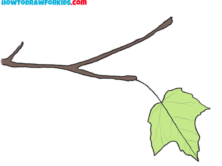 How to Draw a Leaf on a Tree - Easy Drawing Tutorial For Kids