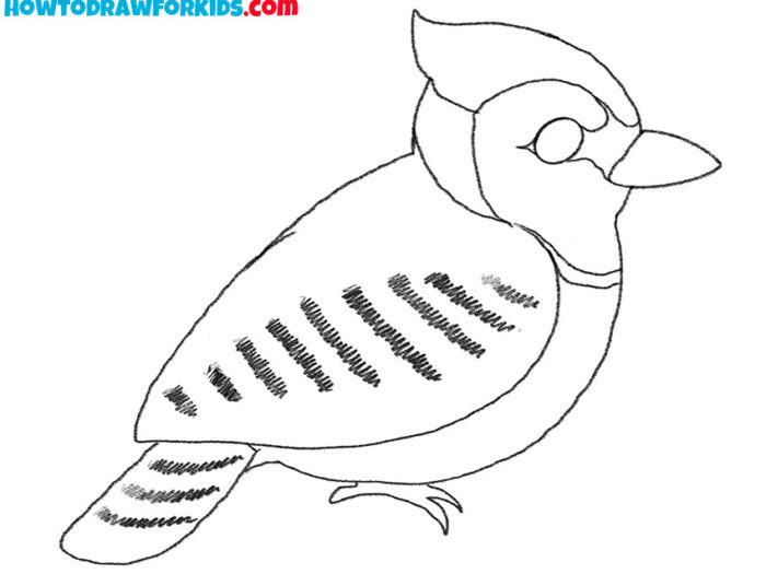 How to Draw a Blue Jay - Easy Drawing Tutorial For Kids
