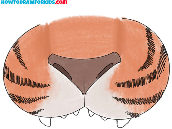 How to Draw a Tiger Nose - Easy Drawing Tutorial For Kids