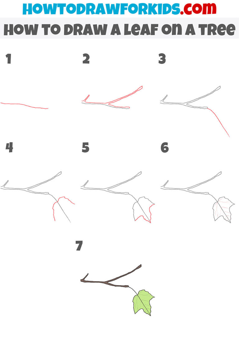 How to Draw a Leaf on a Tree - Easy Drawing Tutorial For Kids