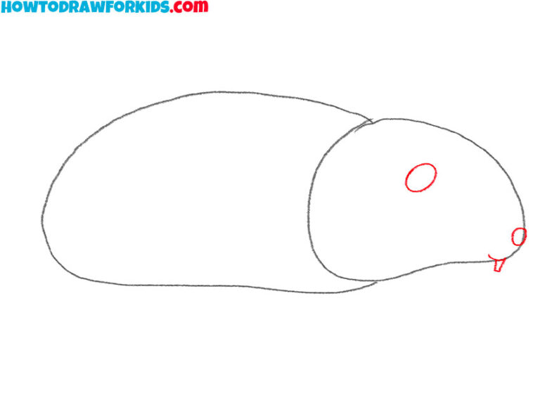 How to Draw a Hamster - Easy Drawing Tutorial For Kids