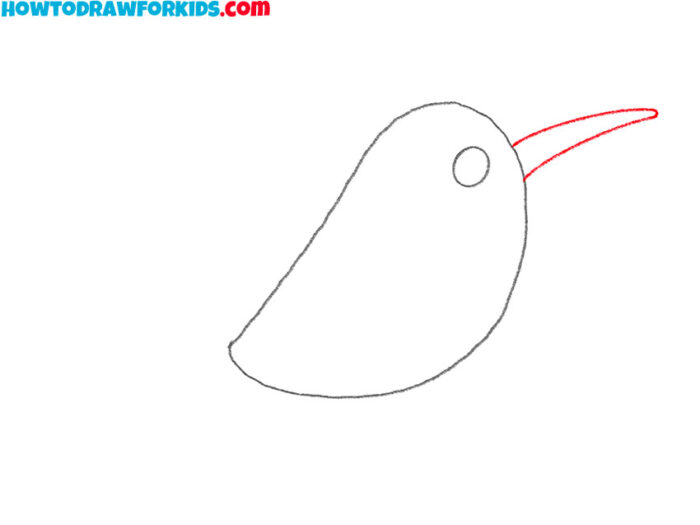 How to Draw a Hummingbird - Easy Drawing Tutorial For Kids