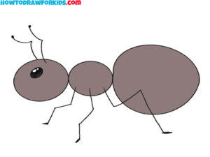 How to Draw an Ant - Easy Drawing Tutorial For Kids