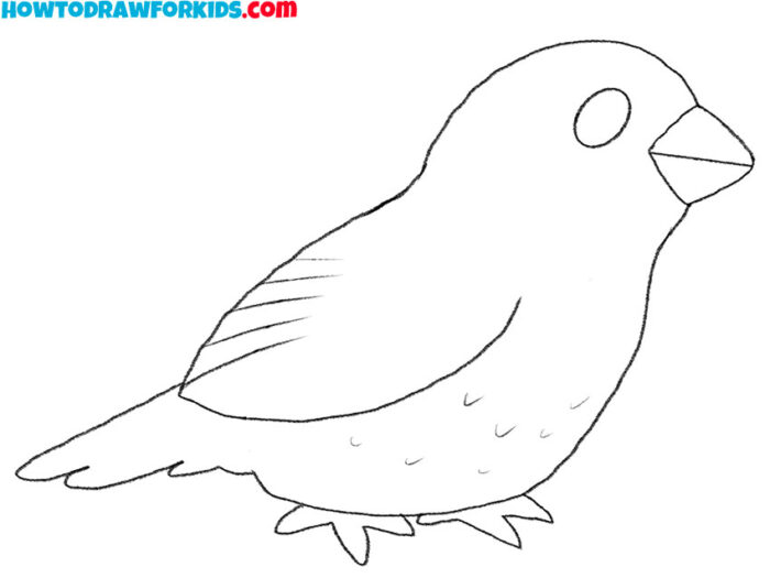 How to Draw a Cartoon Bird - Easy Drawing Tutorial For Kids