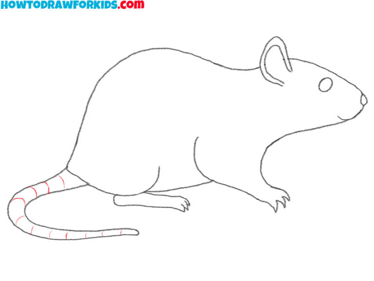 How to Draw a Rat - Easy Drawing Tutorial For Kids