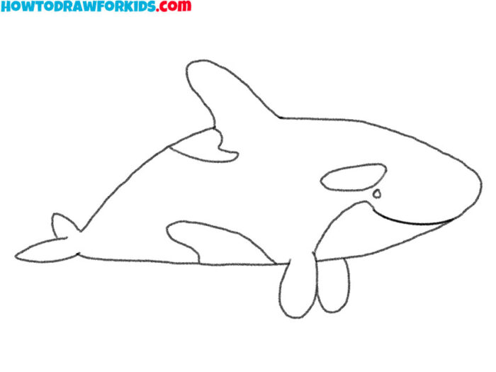 How to Draw an Orca - Easy Drawing Tutorial For Kids