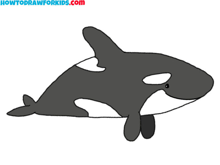 How to Draw an Orca - Easy Drawing Tutorial For Kids