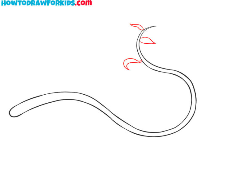 How to Draw a Vine - Easy Drawing Tutorial For Kids