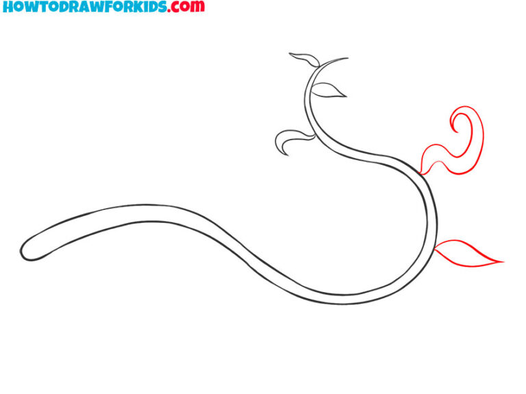 How to Draw a Vine - Easy Drawing Tutorial For Kids