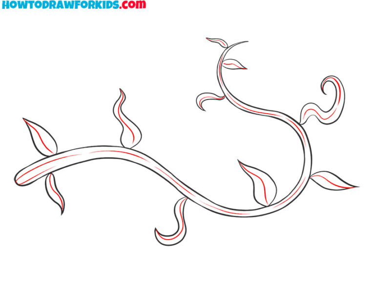 How to Draw a Vine - Easy Drawing Tutorial For Kids