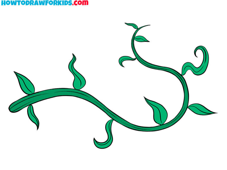 How to Draw a Vine - Easy Drawing Tutorial For Kids