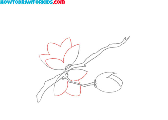 How to Draw a Cherry Blossom - Easy Drawing Tutorial For Kids