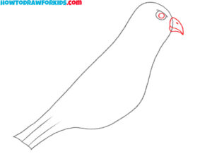 How to Draw a Hawk - Easy Drawing Tutorial For Kids