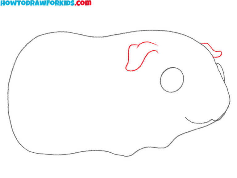 How to Draw a Guinea Pig - Easy Drawing Tutorial For Kids