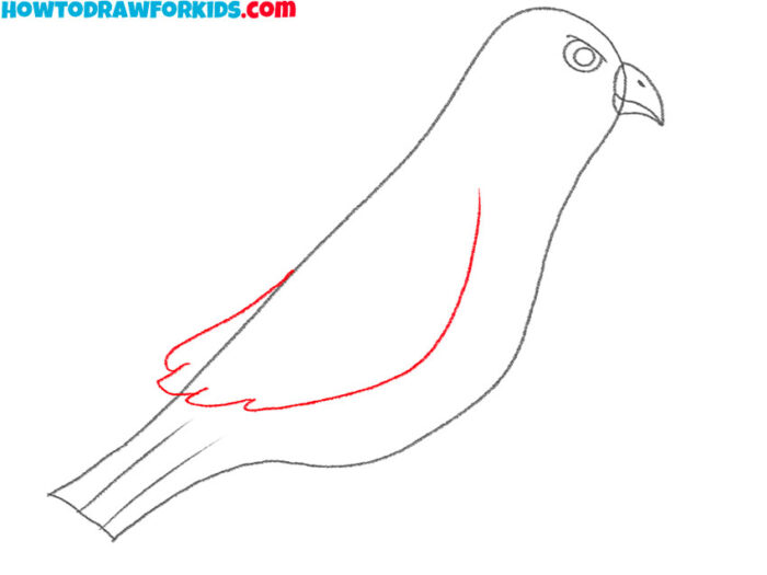 How to Draw a Hawk - Easy Drawing Tutorial For Kids