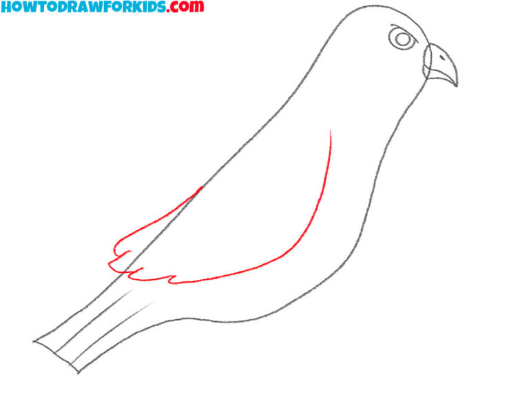 How to Draw a Hawk - Easy Drawing Tutorial For Kids