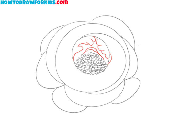 How to Draw a Peony - Easy Drawing Tutorial For Kids