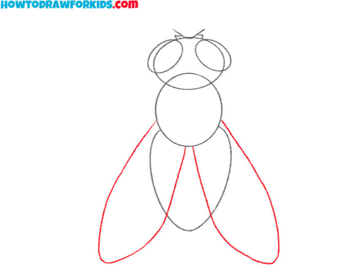 How to Draw a Fly - Easy Drawing Tutorial For Kids