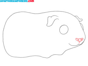 How to Draw a Guinea Pig - Easy Drawing Tutorial For Kids