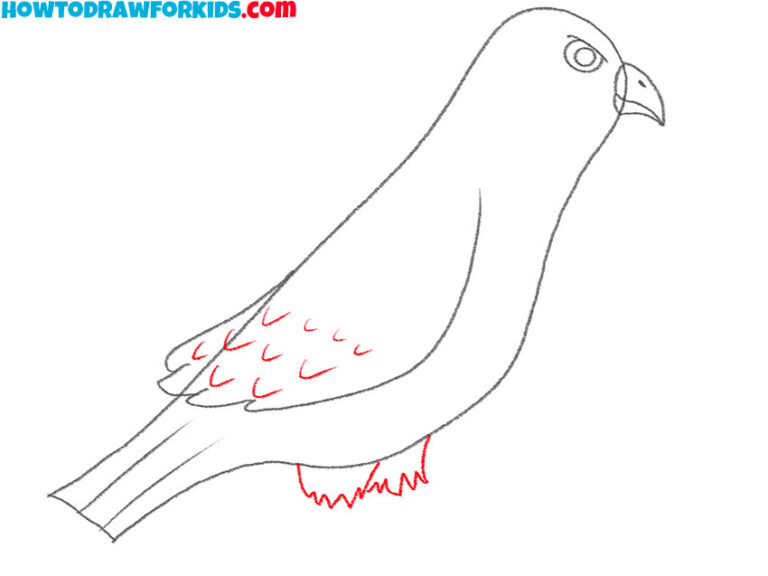 How to Draw a Hawk - Easy Drawing Tutorial For Kids