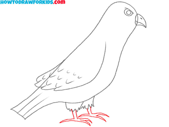 How to Draw a Hawk - Easy Drawing Tutorial For Kids
