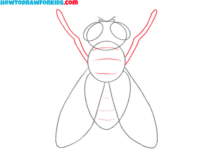 How to Draw a Fly - Easy Drawing Tutorial For Kids