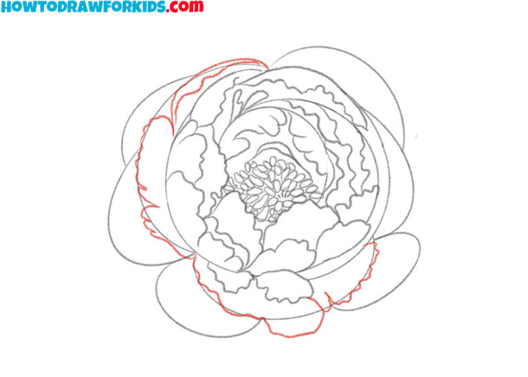 How to Draw a Peony - Easy Drawing Tutorial For Kids