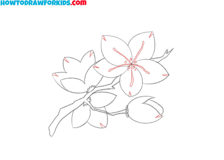 How to Draw a Cherry Blossom - Easy Drawing Tutorial For Kids