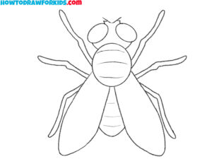 How to Draw a Fly - Easy Drawing Tutorial For Kids