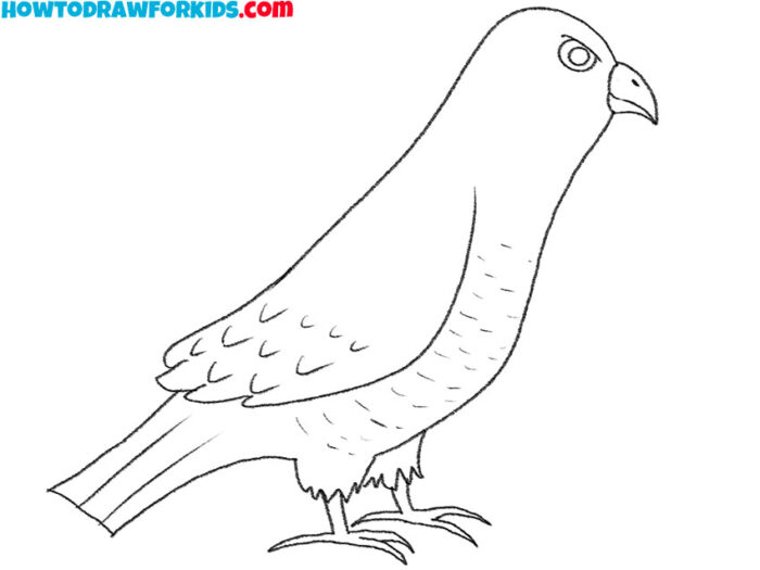 How to Draw a Hawk - Easy Drawing Tutorial For Kids