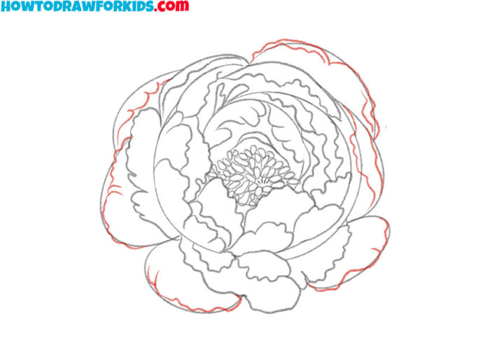 How to Draw a Peony - Easy Drawing Tutorial For Kids