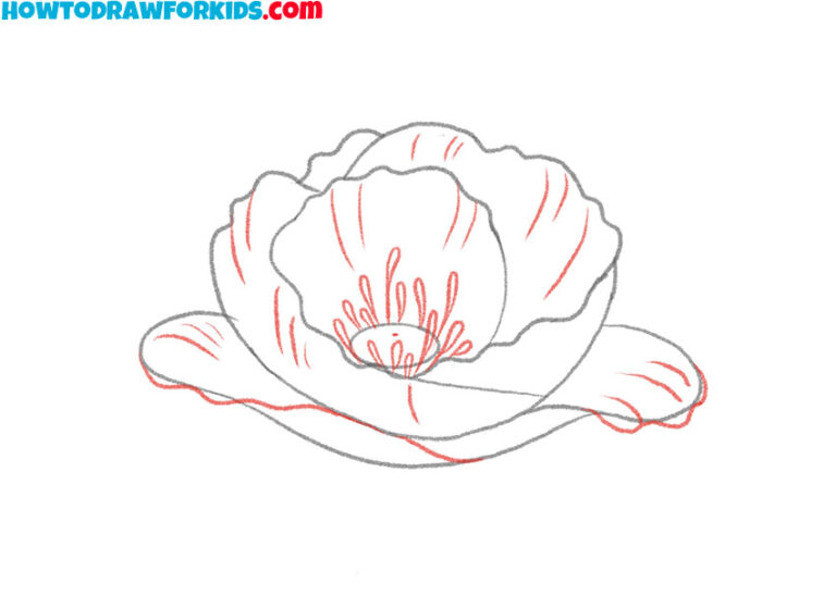 How to Draw Poppies - Easy Drawing Tutorial For Kids