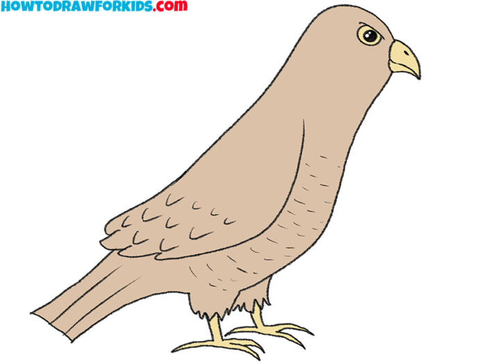 How to Draw a Hawk - Easy Drawing Tutorial For Kids