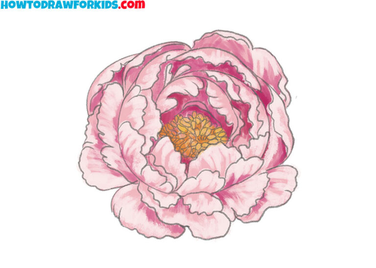 How to Draw a Peony - Easy Drawing Tutorial For Kids