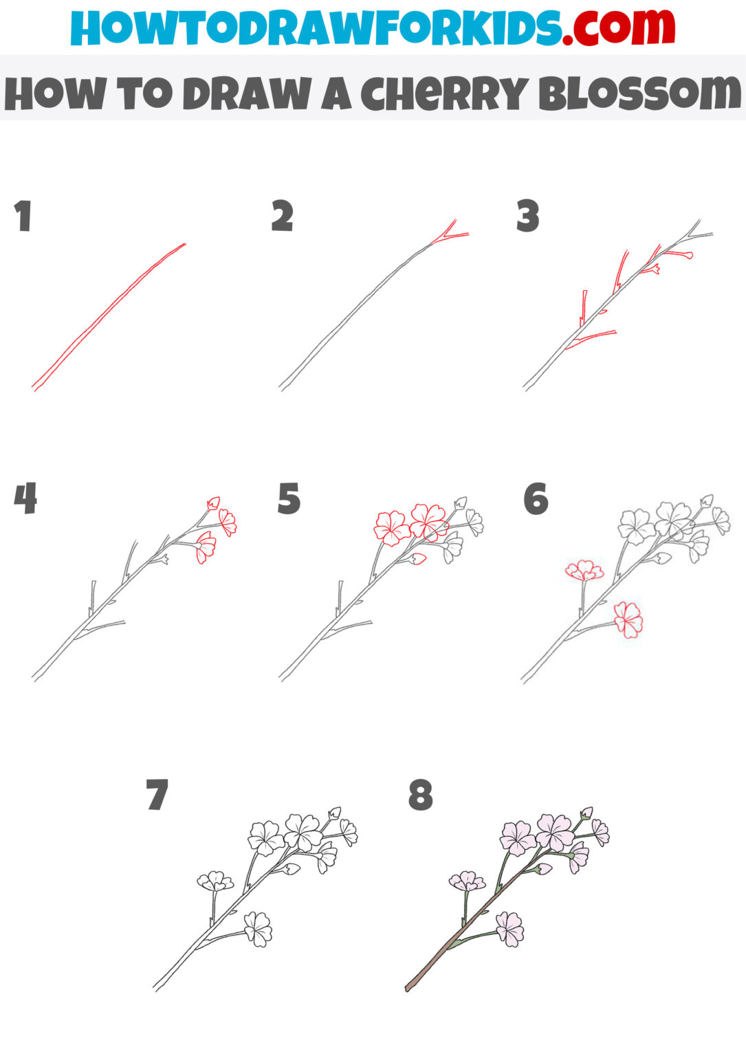 How to Draw a Cherry Blossom - Easy Drawing Tutorial For Kids