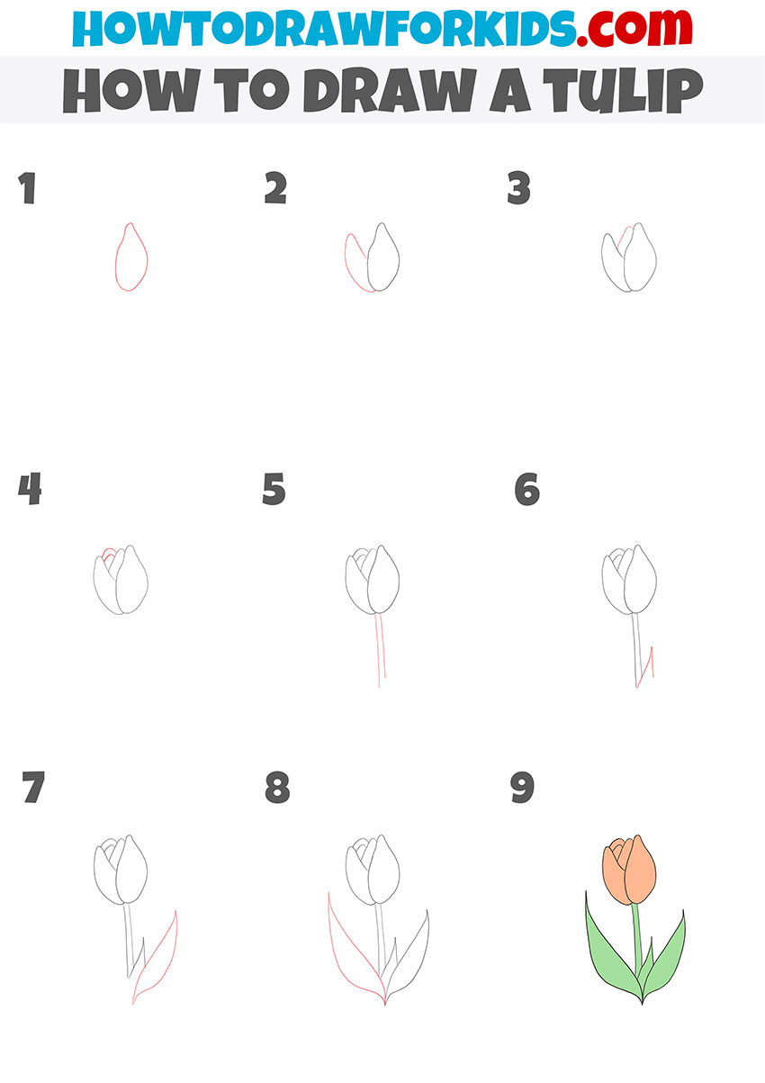 How To Draw A Tulip Step By Step Easy Drawing Tutorial For Kids