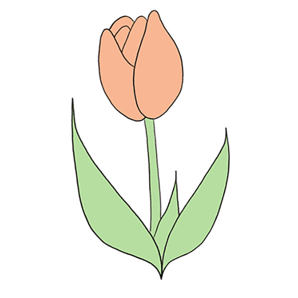 How To Draw A Tulip Step By Step Easy Drawing Tutorial For Kids